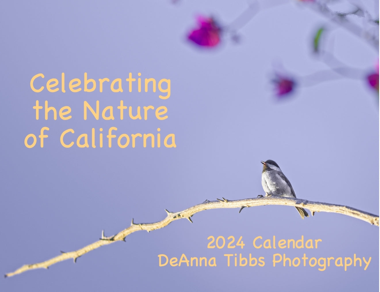 Calendars – Oakland Puzzle Company